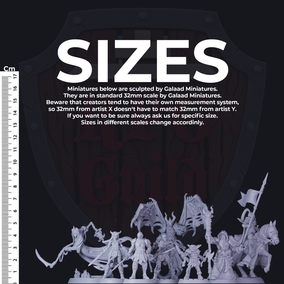 Female Priestess Tempest Miniature Priest Dungeons and Dragons Mini DnD ...