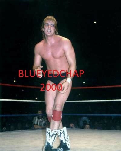 BARRY WINDHAM WRESTLER 8 X 10 WRESTLING PHOTO WCW NWA WWF | eBay
