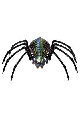 13 Inch Oil Slick Skeleton Spider | eBay