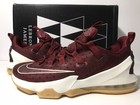 Nike LeBron Xlll Low 'CAVS' LE XX16 Red/Maroon 831925-610 Sz 9.5 10.5 ...