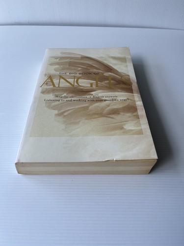Big Book of Angels by Hinkler Books Paperback | eBay Australia