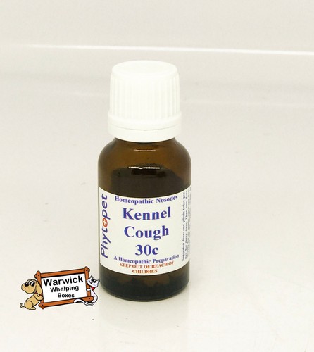Homeopathic pillules Nosodes Kennel Cough Dogs Preventative Treatment ...
