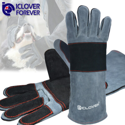 Training Anti-Bite Gloves Animal Handling Chew Protective Gloves Dog ...