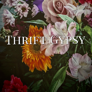 Thrift Gypsy | eBay Stores