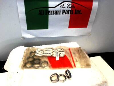 Ferrari Part 16102042 CHROME WIPER TRANSMISSION NUT 17MM ID, 206GT, 206 ...