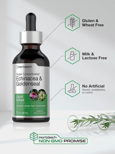 Echinacea Goldenseal Liquid Extract | 2 fl oz | Alcohol Free | by ...