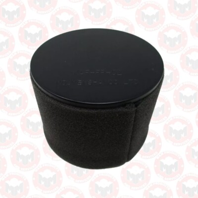 Genuine Kawasaki 11029-0032 Air & Pre-Air Filter Toro TimeMaster ...