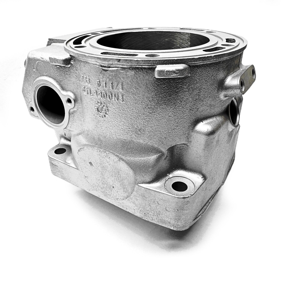 Replated Arctic Cat 800 Cylinder 1904-003 M8000 XF8000 2018-2019 Sno ...