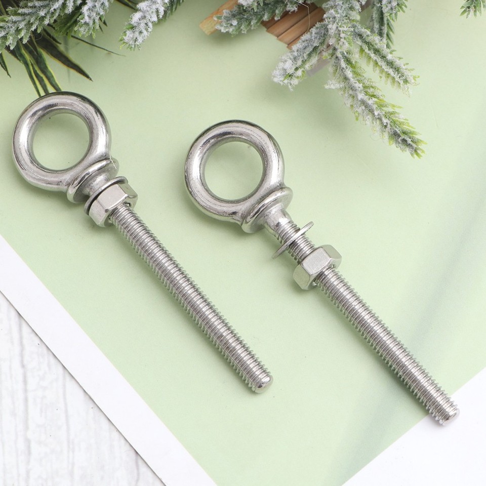 2 Pcs Stainless Steel Hoist Bolts Masonry Threaded Eye with Nuts | eBay