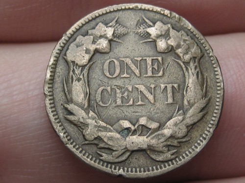 1857 Flying Eagle Penny Cent- Fine Reverse Details | eBay