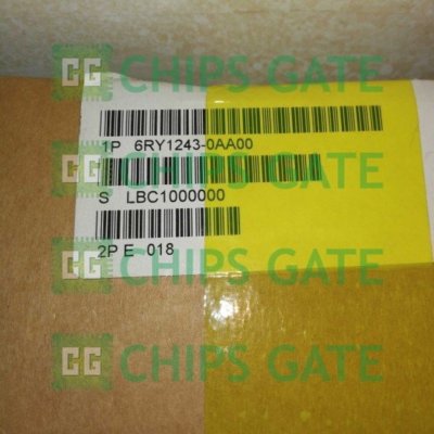 1PCS 6RA24 DC converter board C98043-A1600-L1; 6RY1243-0AA00 | eBay