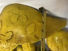 Yeller Shrooms! Vintage Mushroom Wall Plaque Decor Dart Industry Large ...