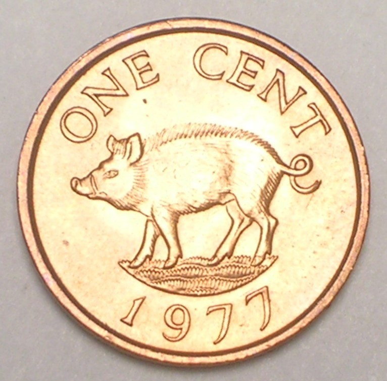 1977 Bermuda Bermudan One 1 Cent Wild Boar Pig Coin XF | eBay