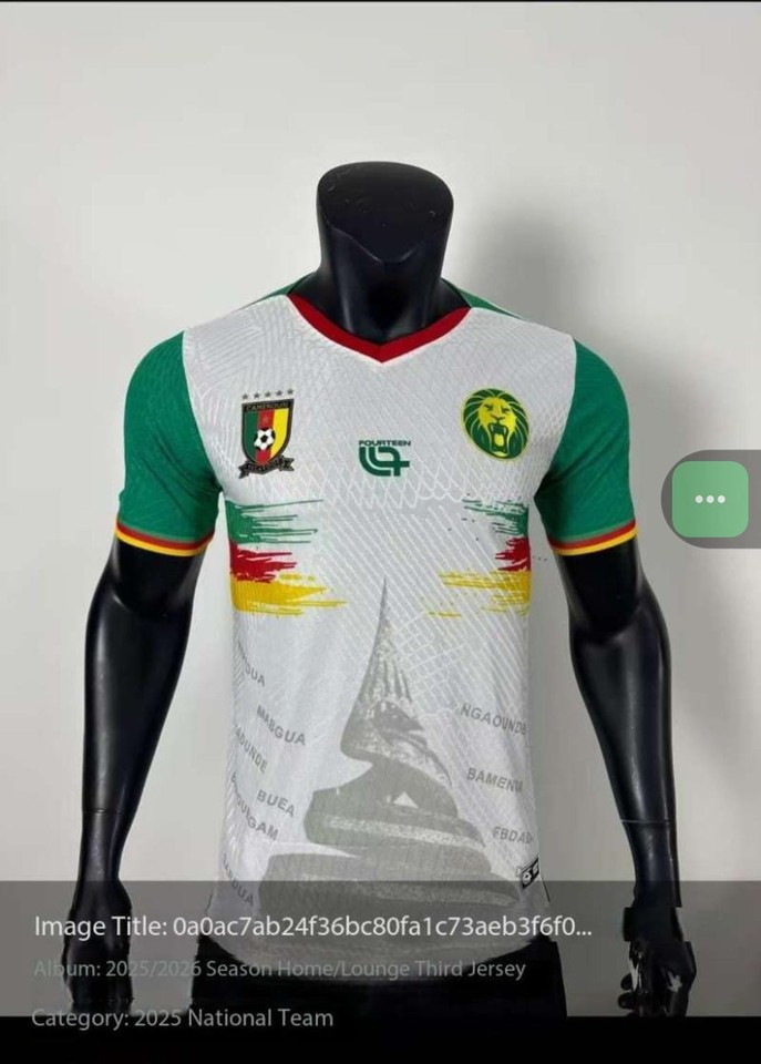Cameroon Jersey Good Quality. Available In All Sizes and Red, White ...