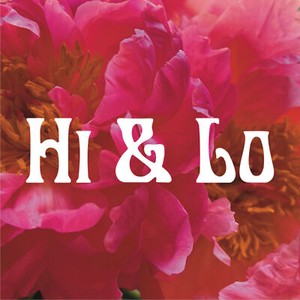 Shop Hi And Lo | eBay Stores