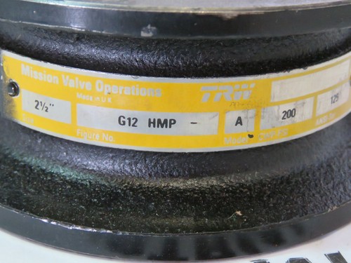 TRW 2-1/2'' FIG G12 HMP MOD A MISSION CHECK VALVE NEW | eBay