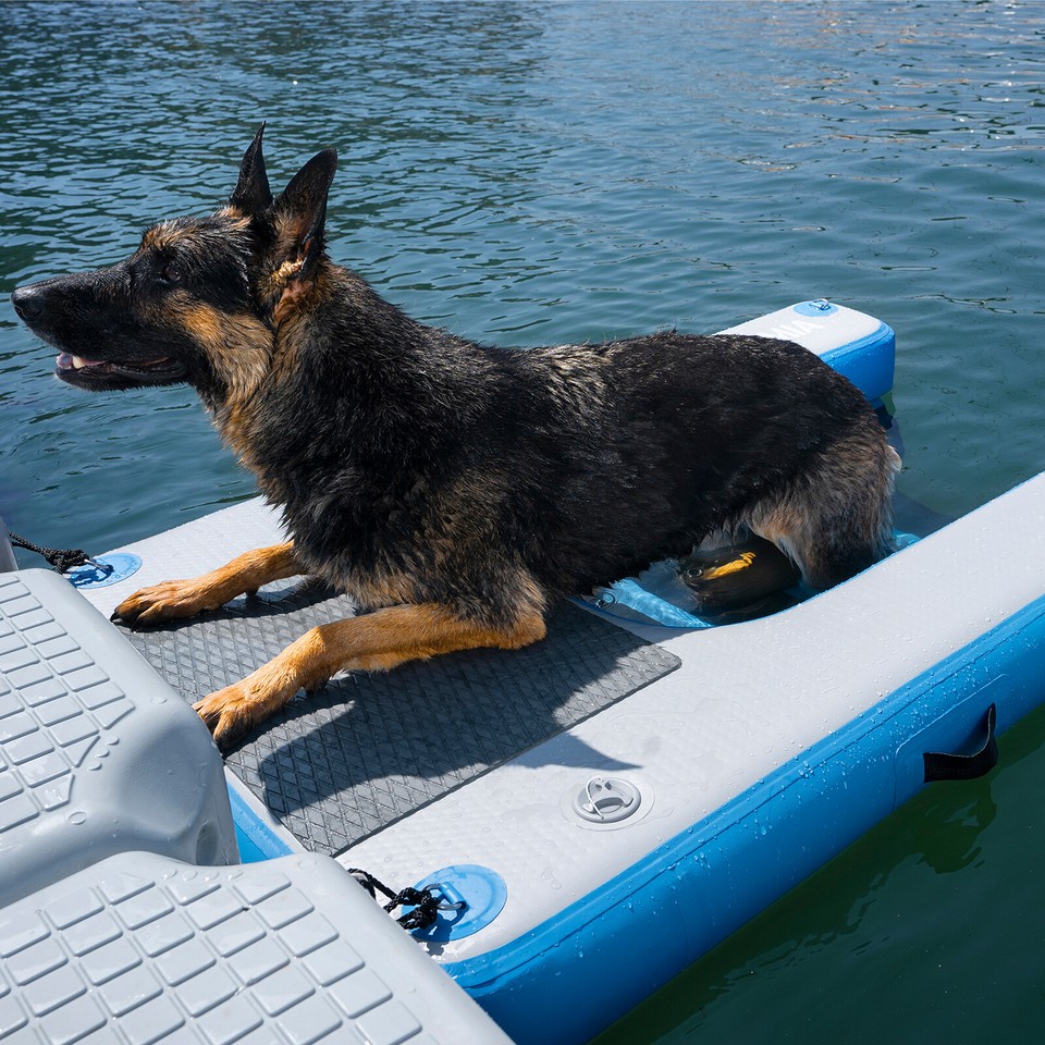 RYpetmia Large Inflatable Pup Plank Dog Water Ramp Pool Ramp Dog ...