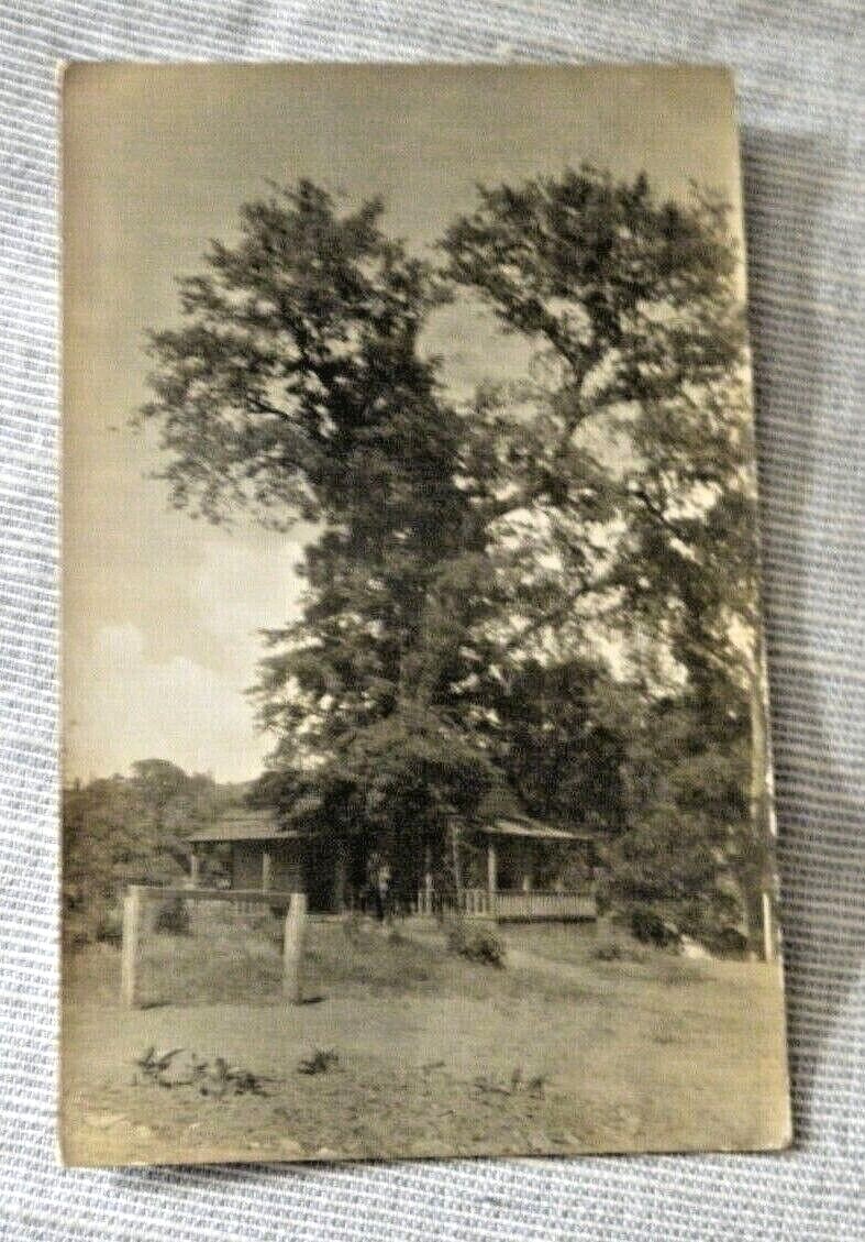 VINTAGE REAL PHOTO POSTCARD APPLEGATE CAL PLACER COUNTY CABIN 1909 | eBay