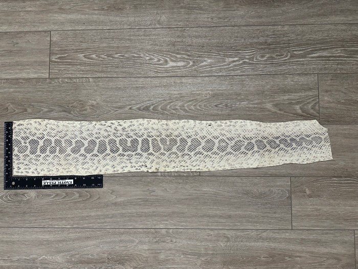 Natural Genuine Anaconda Snake skin Leather hide python real boa rattle ...