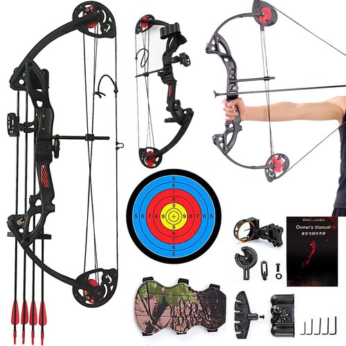 Kids Youth Compound Bow and Arrow Set 15-29lbs for Right Hand Beginner ...