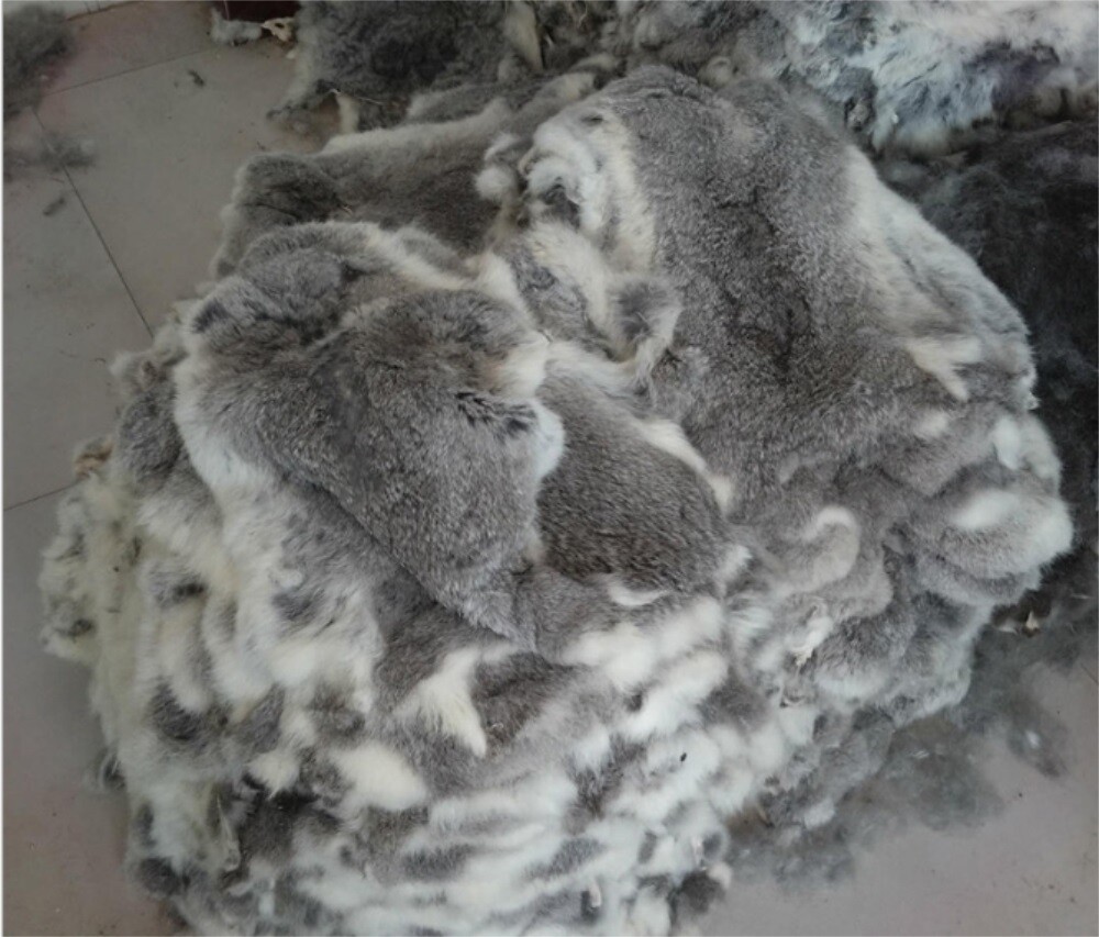 Rabbit Fur Pelt Natural Assorted Earth Tones Fur Skin Tanned Hides 9 ...