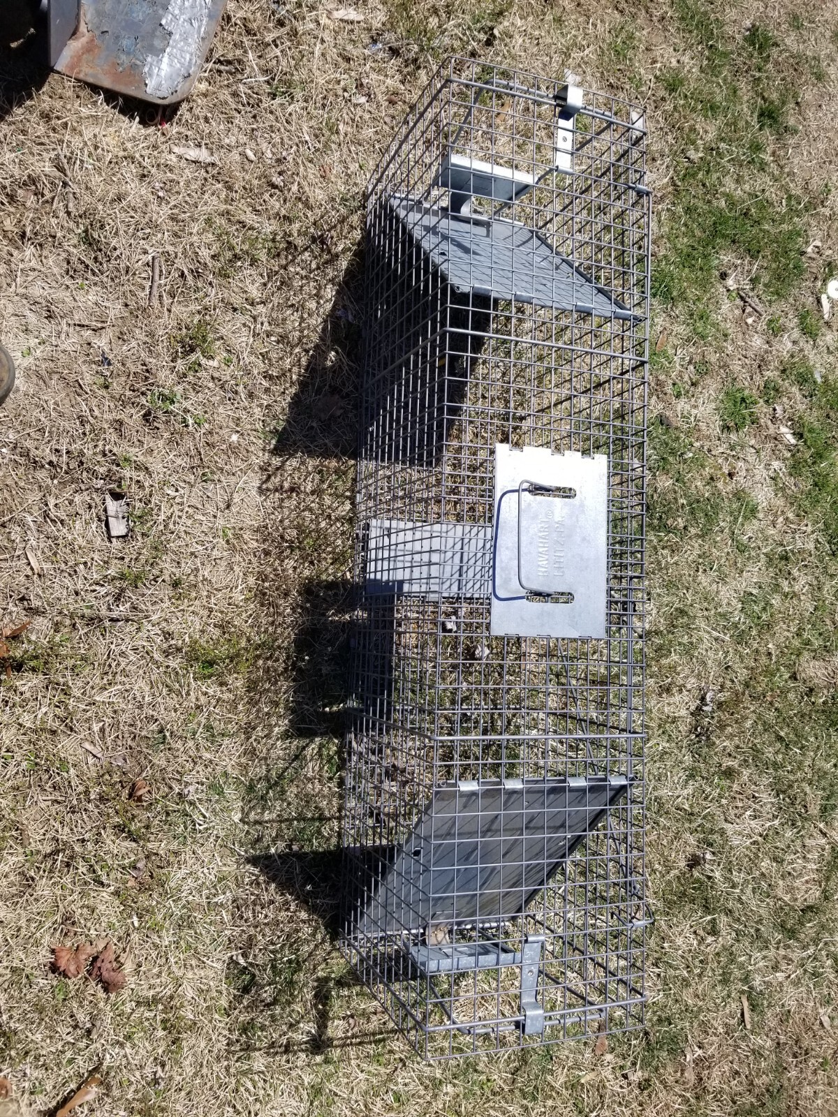 HAVAHART LARGE ANIMAL TRAP- 1 Piece 2 door 41 "X 10" X 12" used very ...