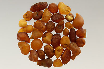 Lot of 34 Natural Raw Rough Drops Nugget Genuine BALTIC AMBER 14.6g ...