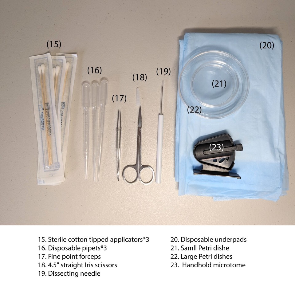 Microscope Slide Accessory Science Kit - tools, Methylene blue, Eosin Y ...