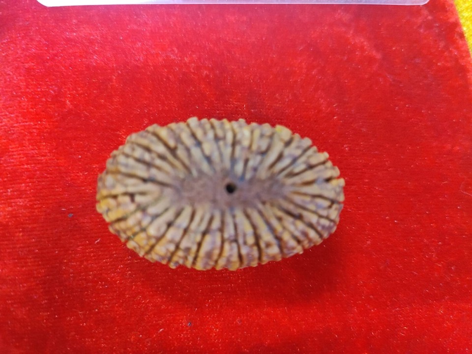 Vampire Leader Amulet - Soul Transformation Spell Djinn Spirit Satanic ...