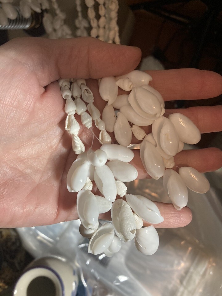 Chula Shell Chandelier 53” Wind Chime Hang Gorgeous Wire Fishing Line ...