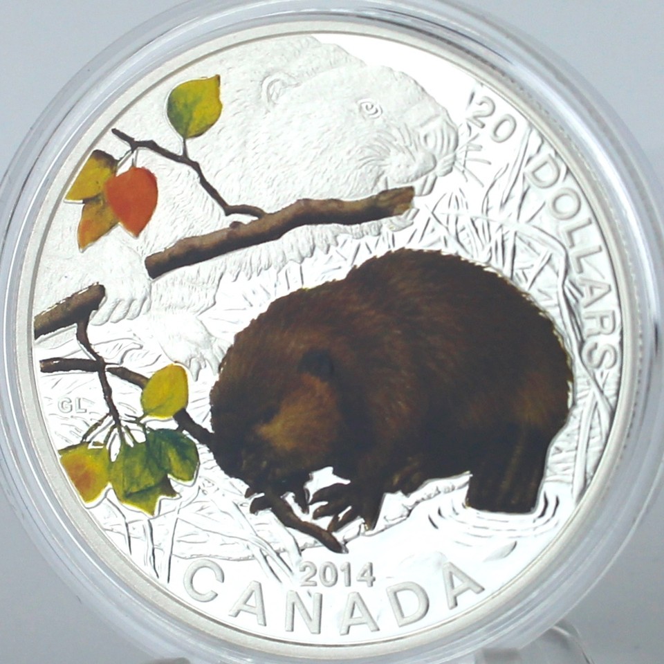 2014 $20 Baby Animals Beaver 1 oz Pure Silver Color Proof 1st Coin in ...