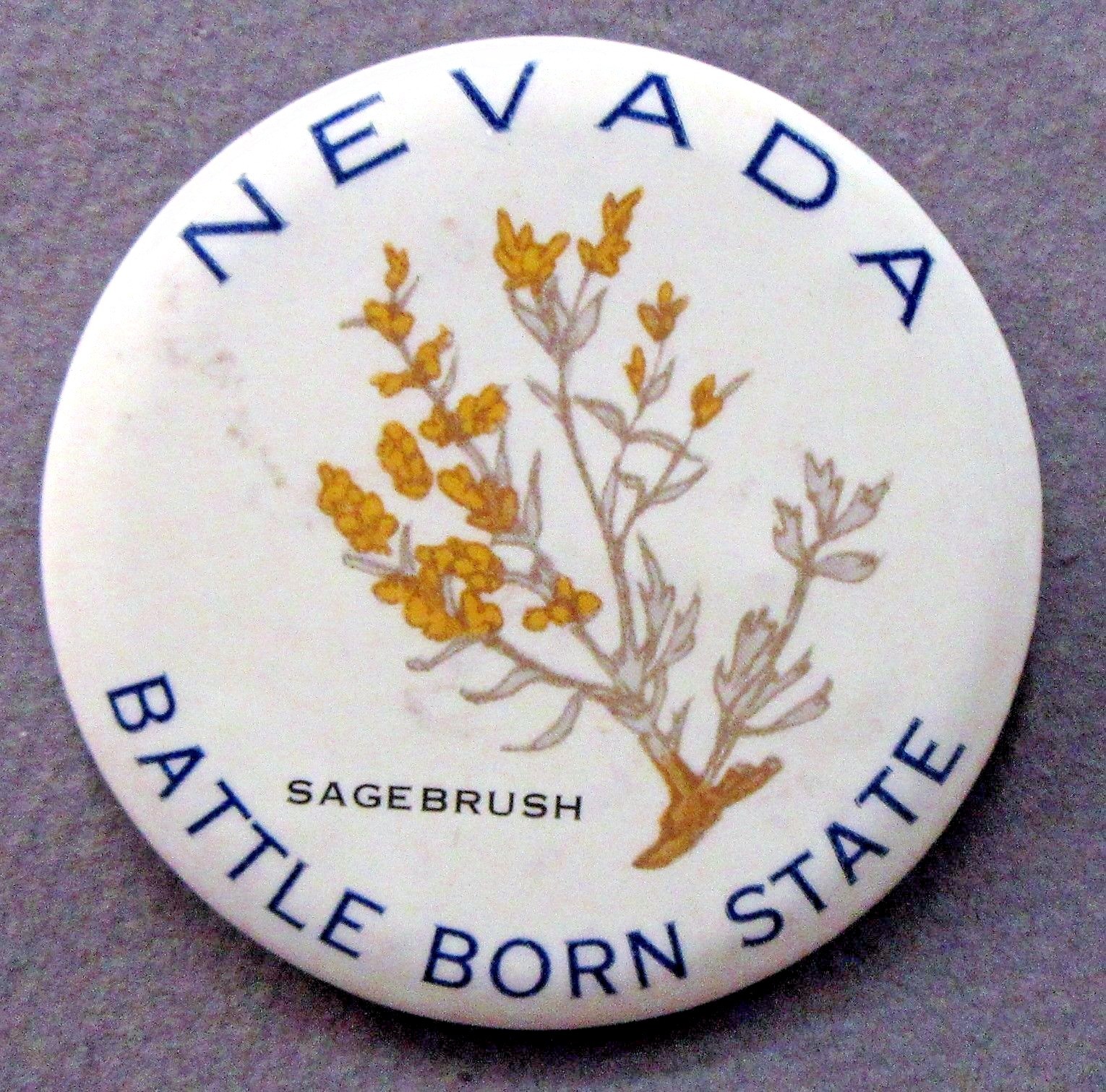 scarce c. 1950 NEVADA BATTLE BORN STATE Sagebrush 2.25" celluloid ...