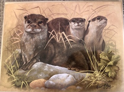 Vintage Robert J May ~ New Forest Art/Greeting Card “ROMP OF OTTERS ...