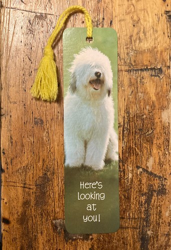 Vtg 1970s "Here's Looking at You!" ENGLISH SHEEP DOG Nana Hallmark ...