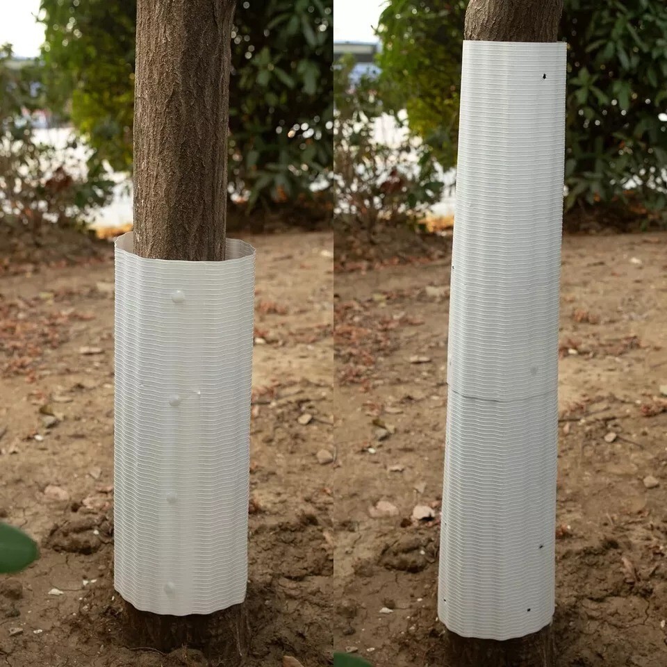 Tree Guard Protectors (10pcs) Protect Various Trees Grow Tubes Around ...