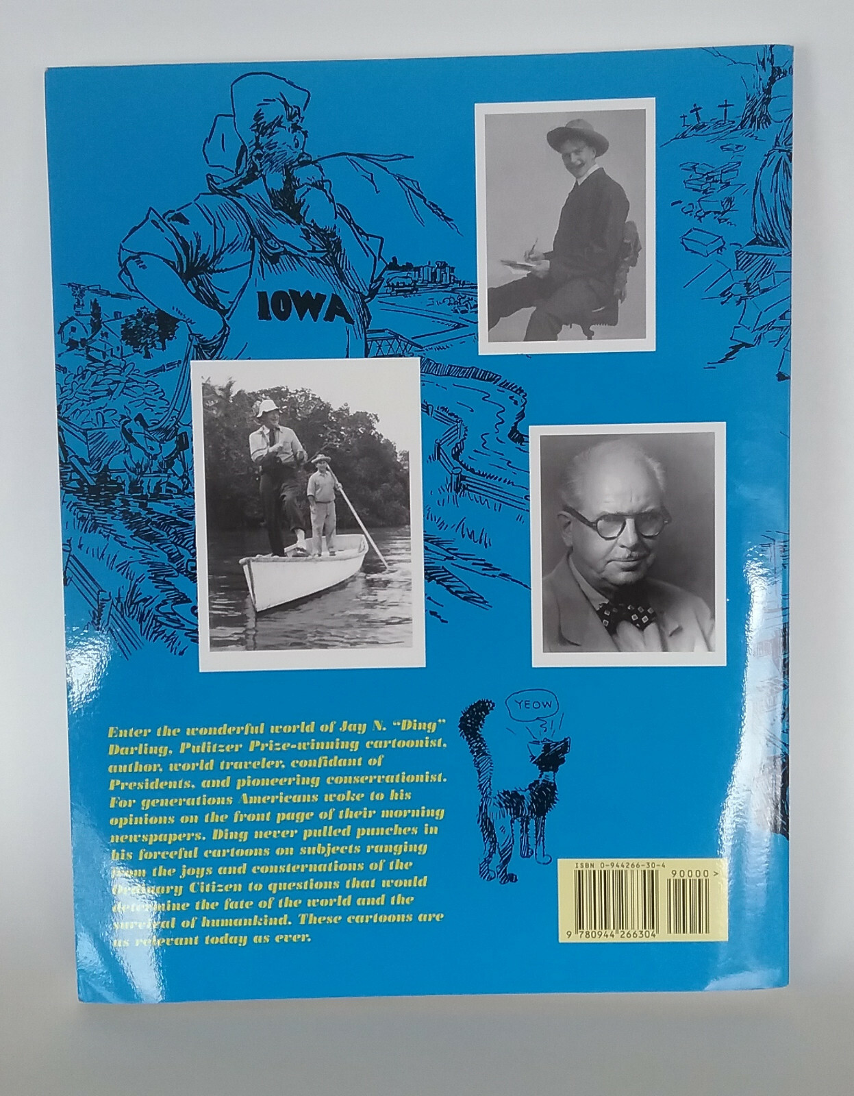 A DING DARLING SAMPLER: THE EDITORIAL CARTOONS OF JAY N. **Mint ...