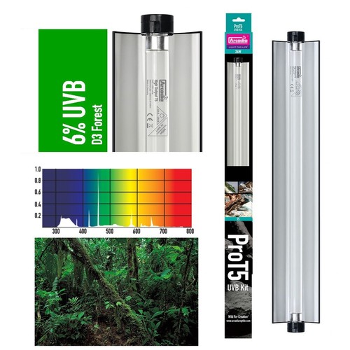 Arcadia Pro T5 D3 UVB Kit 6% Forest 22 Inch 24w ProT5 | eBay