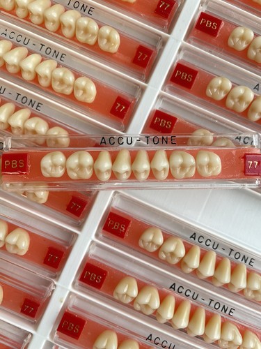 Acrylic Resin False Teeth Accutone Posterior Upper B4/77-PBS dentures ...