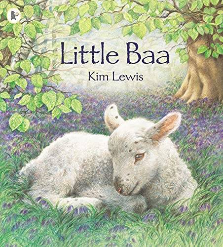 Little Baa (Northumberland Country Childhood Tales) - Paperback - GOOD ...