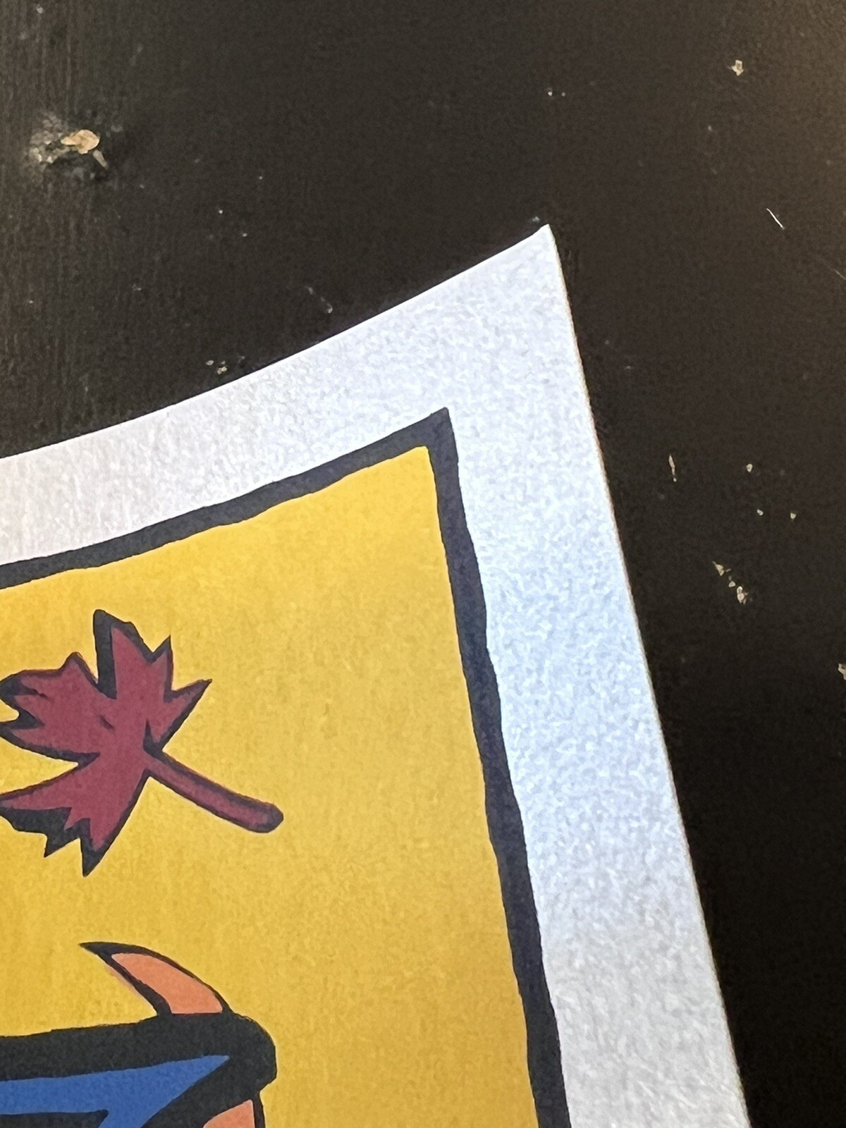 Dave Matthews Band Charlottesville VA 11/11/2023 DAVE MATTHEWS SIGNED ...