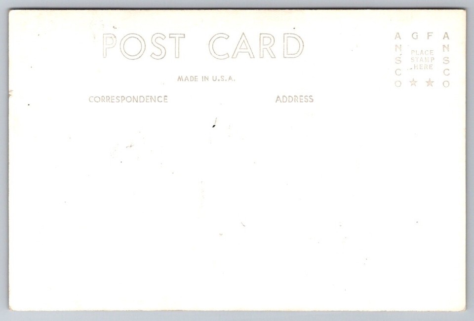 Exaggeration RPPC Postcard Stovall Studio Jack Rabbit Field Dressing Butchering | eBay