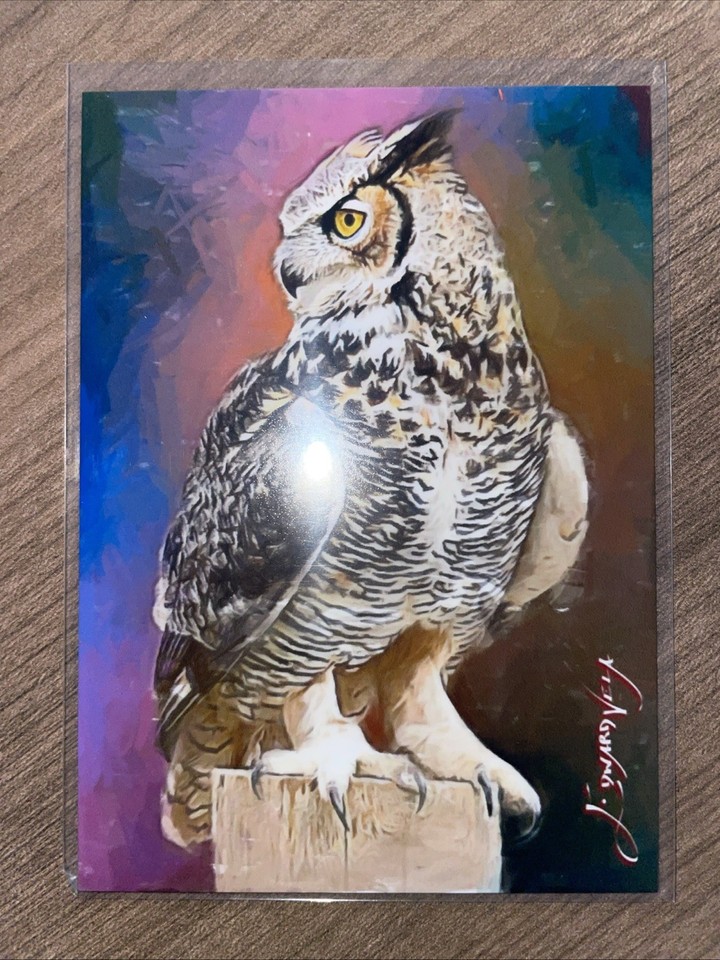 GREAT HORNED OWL (#1) Sketch Card Limited 3/50 Edward Vela Hand Signed ...