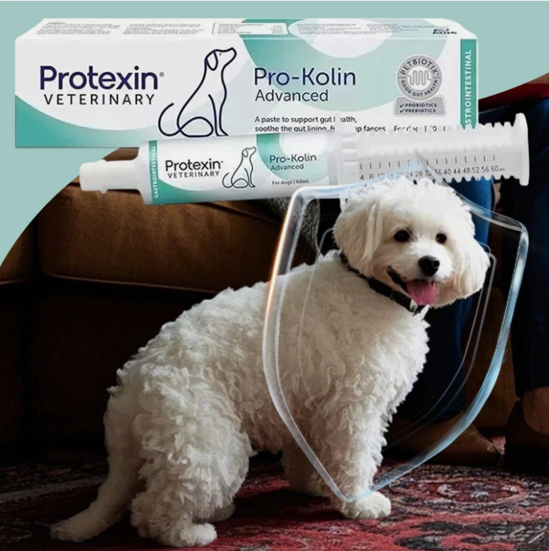 Protexin Veterinary Pro-Kolin Advanced for Dogs Advanced for Dogs, (60 ...