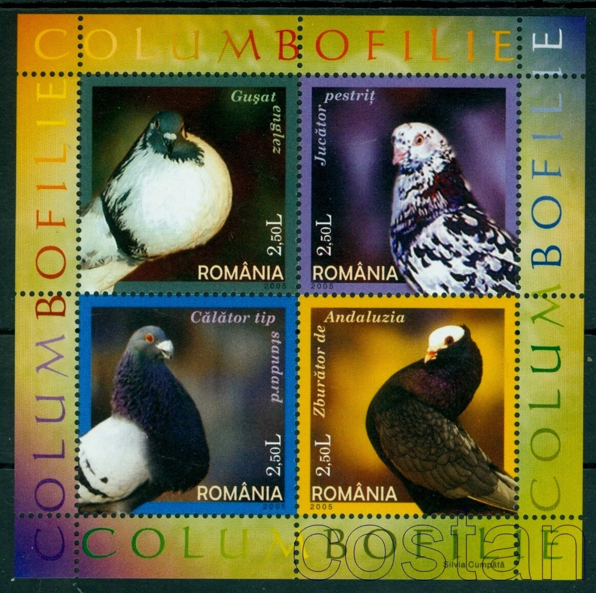 Parlor Roller Pigeons