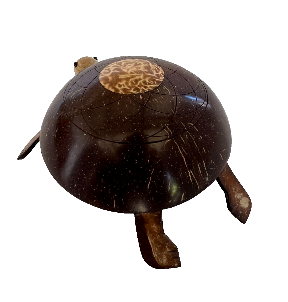 KING COCONUT SHELL TURTLE ORNAMENT Shine Design New | eBay