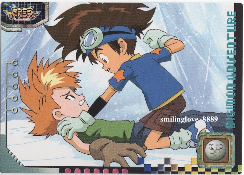 Digimon Tai And Matt Fight