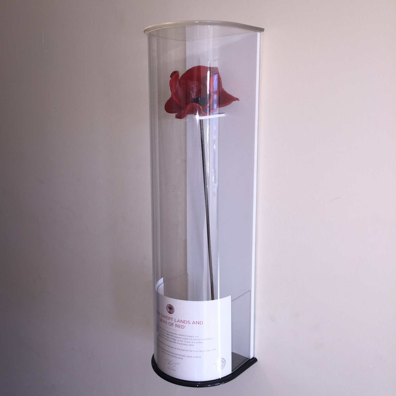 TOWER OF LONDON POPPY DISPLAY CASE ..WALLMOUNTED OR FREE STANDING BLACK ...