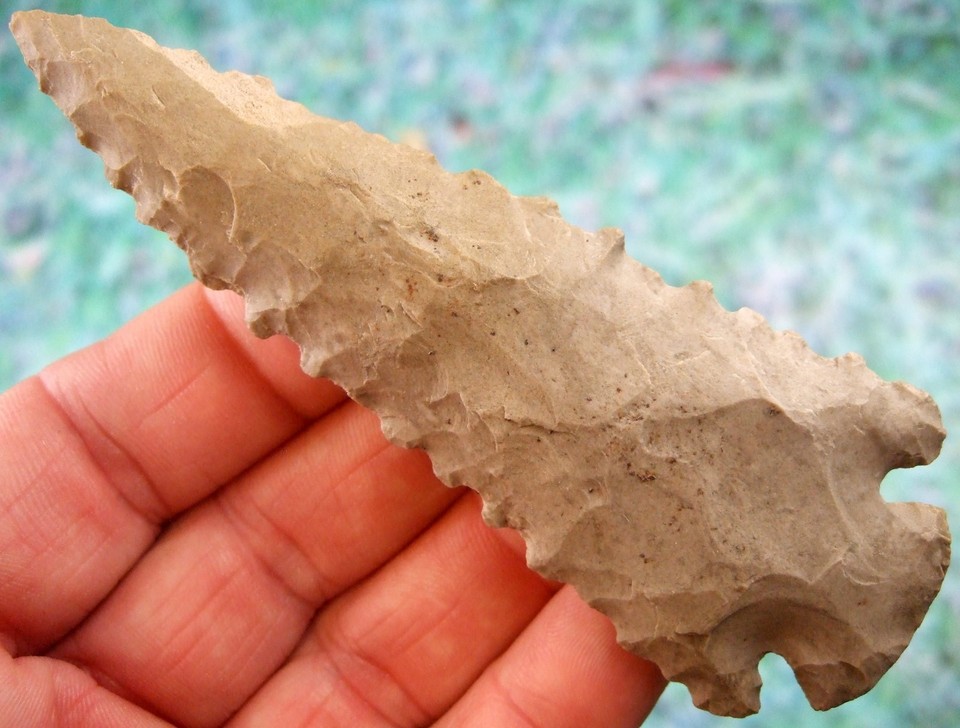 Super Fine 4 9/16 inch Serrated Kentucky Pine Tree Point Insight COA Arrowheads | eBay