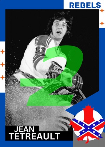 IHL PITTSBURGH SHAMROCKS HOCKEY DEFUNCT FUN CARDS - (Pick a Card) | eBay