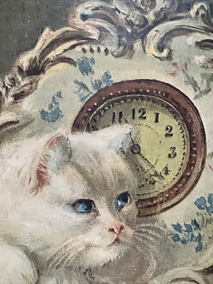 Antique VICTORIAN Cat Picture "The Five Senses" Victorian ...